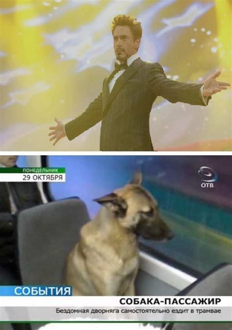 Create Meme Downey Jr Meme Robert Downey Meme Robert Downey