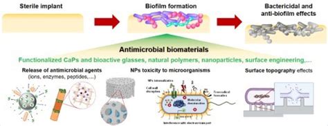 Biomaterial Strategies To Combat Implant Infections New Perspectives