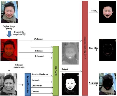 Proposed Skin Detection Method Download Scientific Diagram