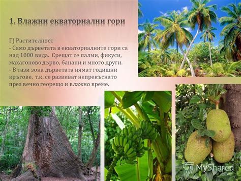 Презентация на тему Природните зони се изучават за да получим по