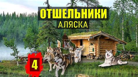 УБЕЖИЩЕ ТУПИК СКРЫЛИСЬ в ТАЙГЕ ОТШЕЛЬНИКИ САМОРАЗВИТИЕ ДОМ в ЛЕСУ КНИГА ИСТОРИИ из ЖИЗНИ СЕРИАЛ