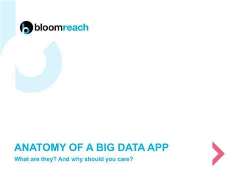 Anatomy Of A Big Data Application Bda Pptx