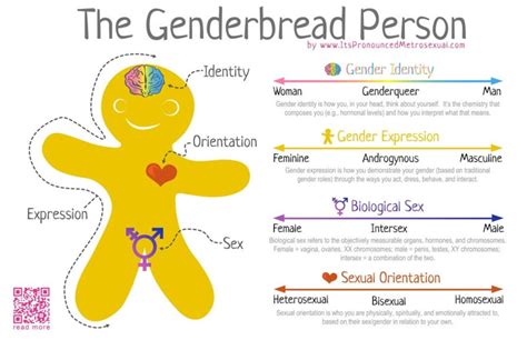 Psychoeducation Lesson Plan Gender And Sexual Identity Etsy