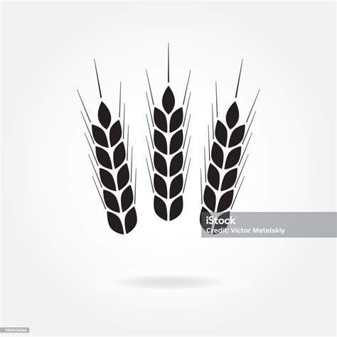 小麥耳朵圖示或標誌農業標誌在白色背景麵包包裝或啤酒標籤的設計項目向量例證向量圖形及更多一個物體圖片 一個物體 健康飲食 剪裁圖