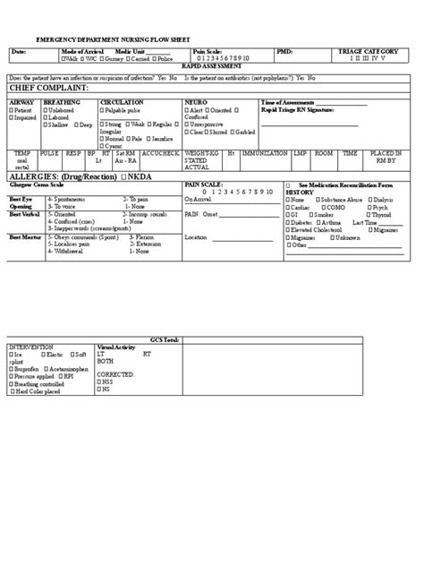 Emergency Department Nursing Flow Sheet Pdf Coma Emergency Department