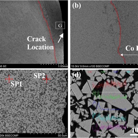 A Sem Images Showing The Other Side Of Transgranular Crack Surface In