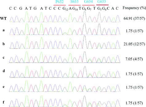 Mutation Detection In Additional Three Lines With Edits At P652 Codon