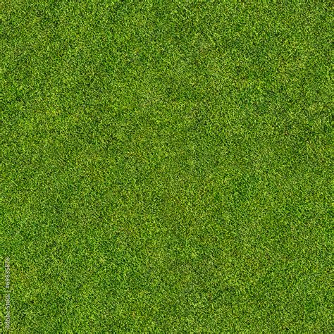 Seamless Grass Stock Illustration Adobe Stock