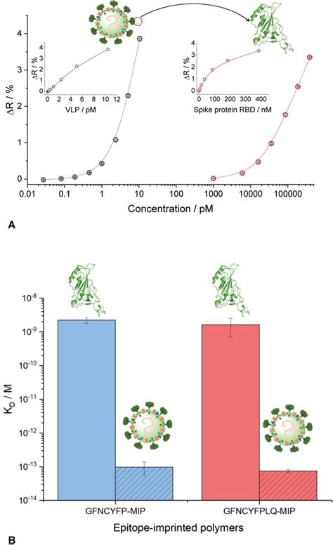A Binding Isotherms Of Sars Cov 2 Vlp And Rbd Formulated In Pbst To