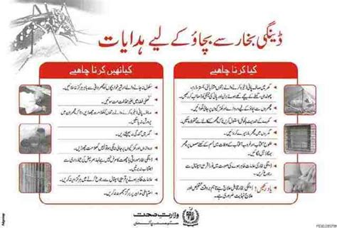 Dengue Fever Toll Rising All Things Pakistan All Things Pakistan