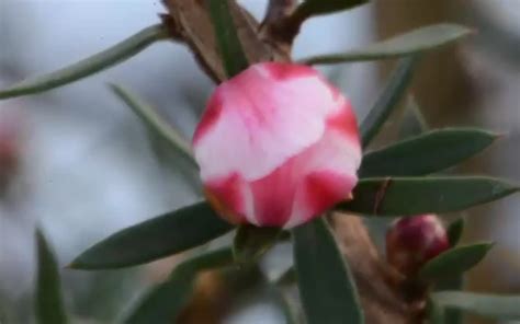 [video] Wojtek Czyz Posted On Linkedin