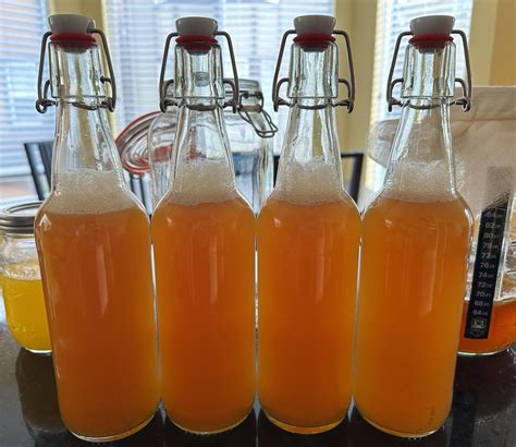 My Scoby Grew A Scoby My First Ever Kombucha Brew Was A Success Off