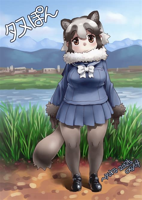 Tanuki Kemono Friends Drawn By Nyororisomuyaa Danbooru