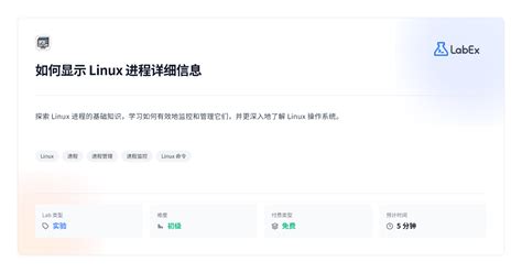 如何显示 Linux 进程详细信息 Labex