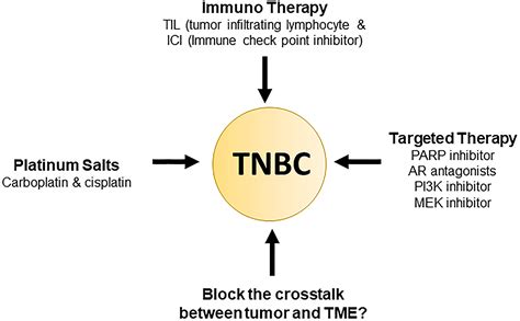 Crosstalk Between Triple Negative Breast Cancer And Microenvironment
