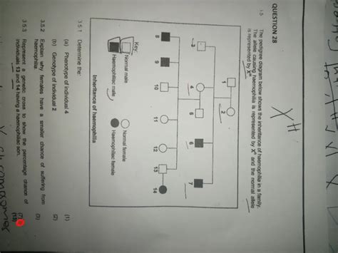 Question 28 3 5 The Pedigree Diagram Studyx