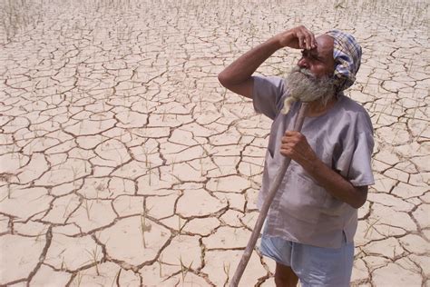 Supreme Court Orders Tamil Nadu To Reply On Farmer Suicides As