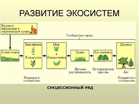 Динамика экосистем. (Тема 6-2) - презентация онлайн