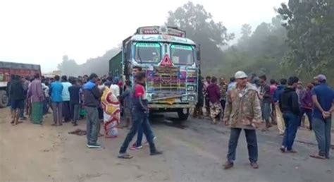 Speeding Truck Kills Elephant In Odishas Dhenkanal