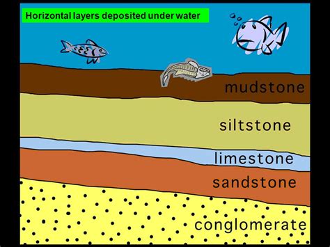 Sedimentary Layers Diagram