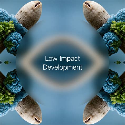 Low Impact Development → Term