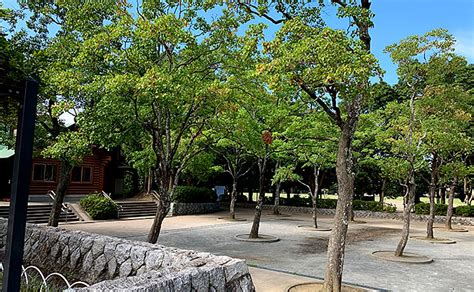 霧が丘公園 横浜市公園探訪横浜市公園探訪