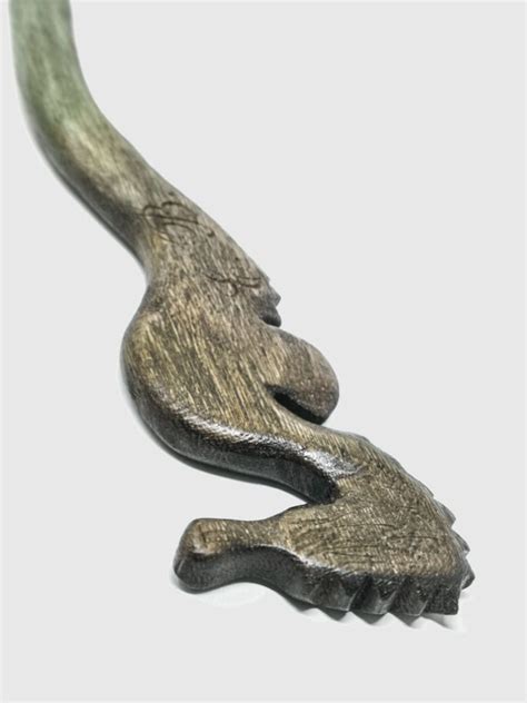 Bacchetta Magica Hippocampus Rafinesque Bacchette Magiche Artigianali