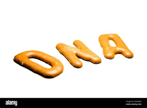 Dna Computer Artwork Of The Word Dna Dna Deoxyribonucleic Acid