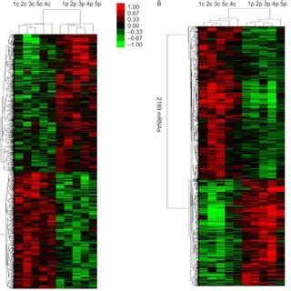 Using Heat Map Hierarchical Clustering Analysis We Identified 1544