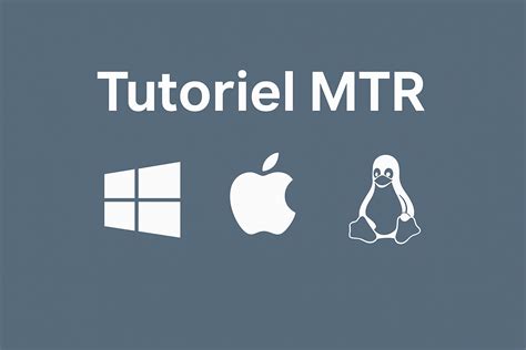 How To Run An Mtr On Windows Macos And Linux Complete Guide Ouiheberg