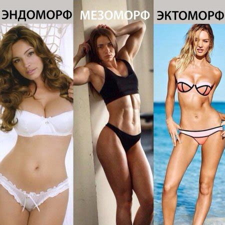 Телосложение » Мода от Wildplum