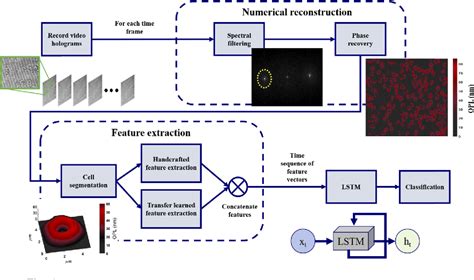 Figure 1 From Deep Learning Based Cell Identification And Disease