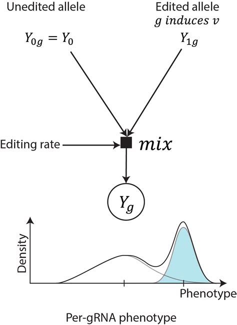 Bean Model Description — Bean 100 Documentation