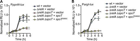 Ppnn Is Regulated In A Pppgpp Dependent Manner A And B