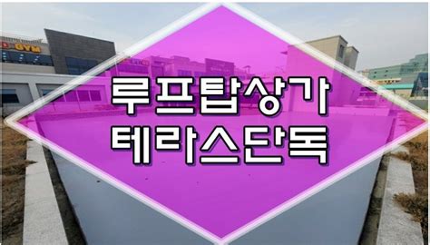 대구루프탑상가 대구현풍테크노폴리스상가임대 네이버 블로그