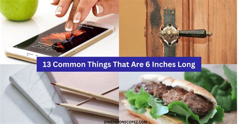 9 Everyday Items That Are 10 Centimeters Long