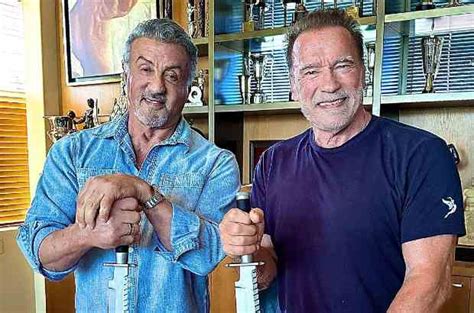 Arnold Schwarzenegger Ou Sylvester Stallone O Debate Sobre Quem