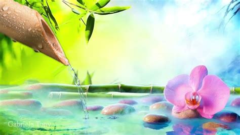 Bamboo Water Fountain And Healing Piano Music Relaxing Piano Music