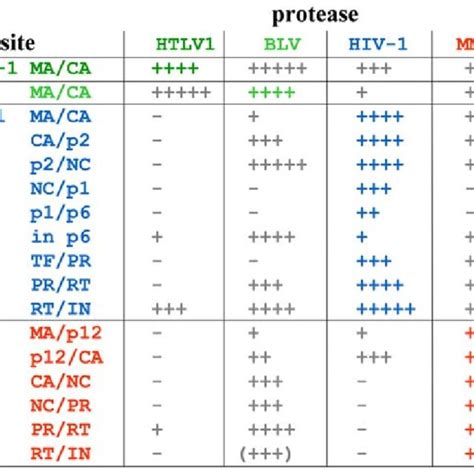 Organization Of The Gag Pro Pol Proteins In Lentiviral Hiv 1 Download Scientific Diagram