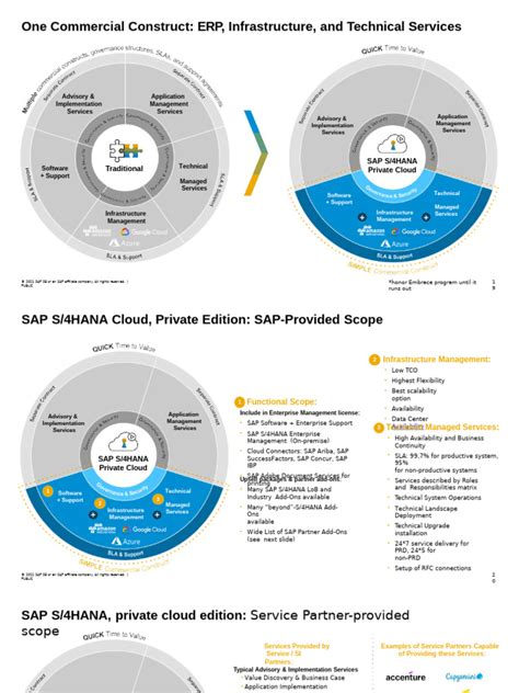 210204risewithsap Pdf Cloud Computing Application Software