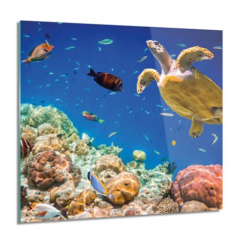 ArtprintCave Fauna Rafy Koralowej Obraz Na Szkle 60x60 Cm