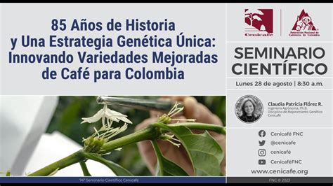 Innovando Variedades Mejoradas De Caf Para Colombia Youtube