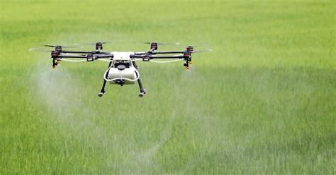 농약 살포하는 드론