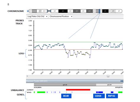 Patients Array Comparative Genomic Hybridization Acgh Data Result