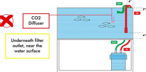 What Is The Correct Placement Of Co2 Diffuser