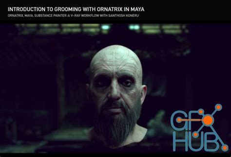 Grooming Lion Fur In Houdini GFX HUB