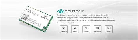 Ebyte E22 230t33s Sx1262 230mhz High Power Lora Spreading Relay Networking Wireless Serial Port