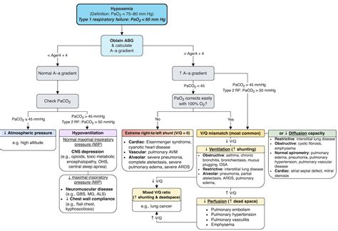 Hypoxemia Differential Diagnosis Algorithm By A A Gradient Normal