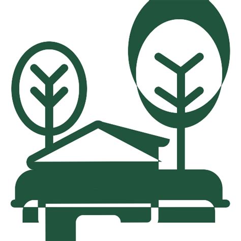 Root Flare Exposure Explained Why Is It Important Dallas Tree Care