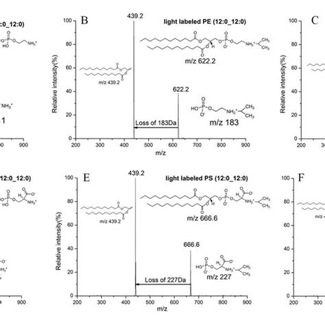 The Limit Of Quantitation Loq Limit Of Detection Lod Relative Download Table